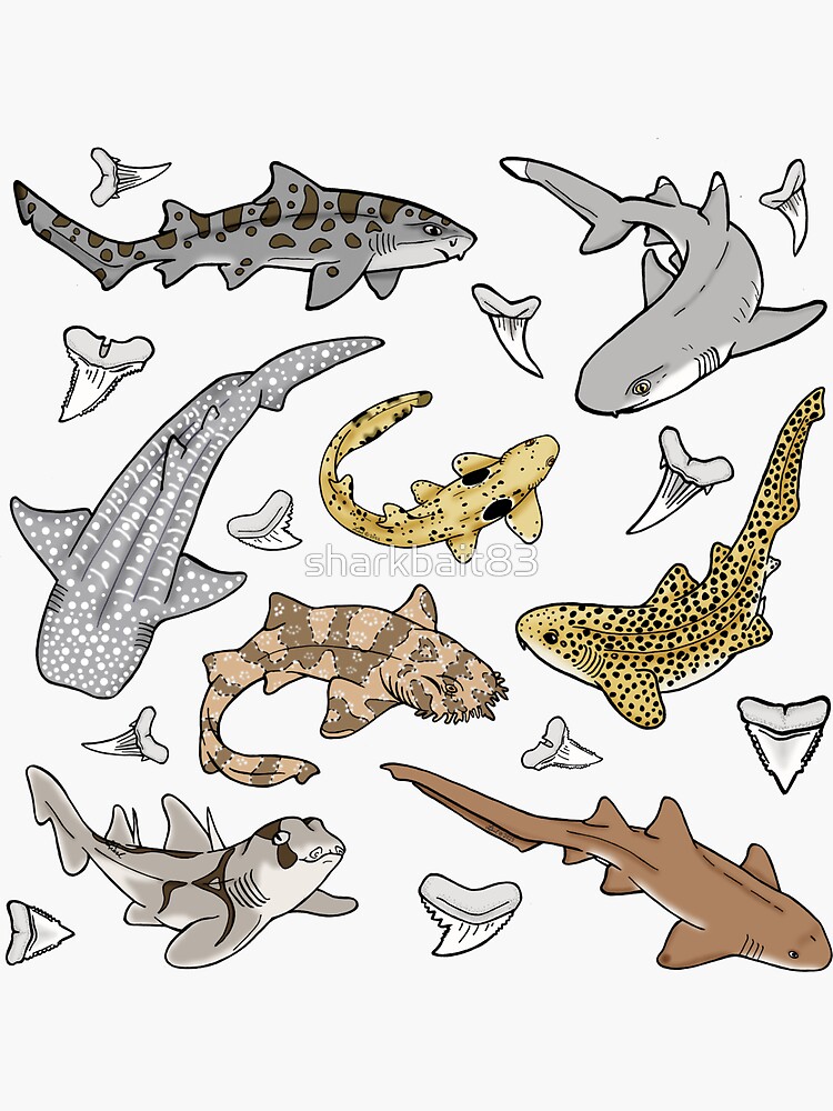 "Shark Pattern" Sticker for Sale by sharkbait83 | Redbubble