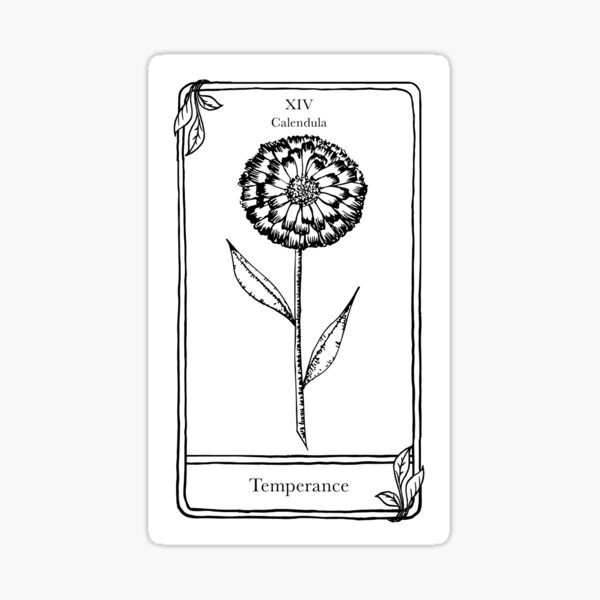 "The Temperance Tarot Card Sticker | Calendula, Botanical, Plant ...