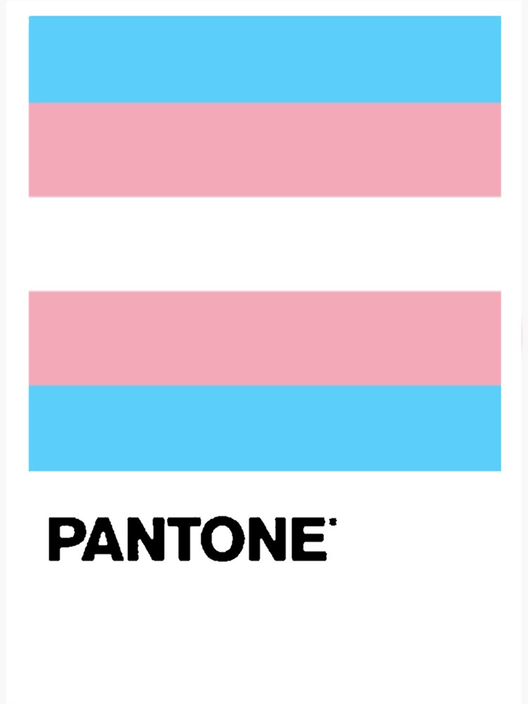 "Trans Pantone" Sticker for Sale by ArtivistsCave | Redbubble