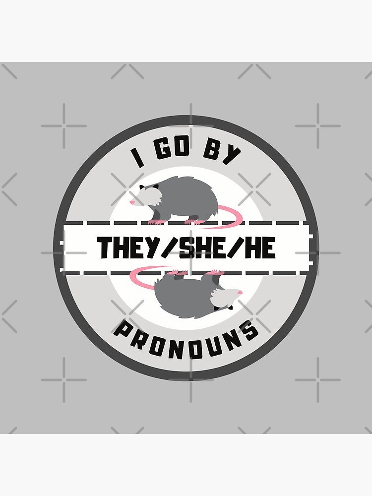 "I Go By They/She/He Pronouns | LGBTQ Pride Possum | They She He pronoun" Pin for Sale by ...