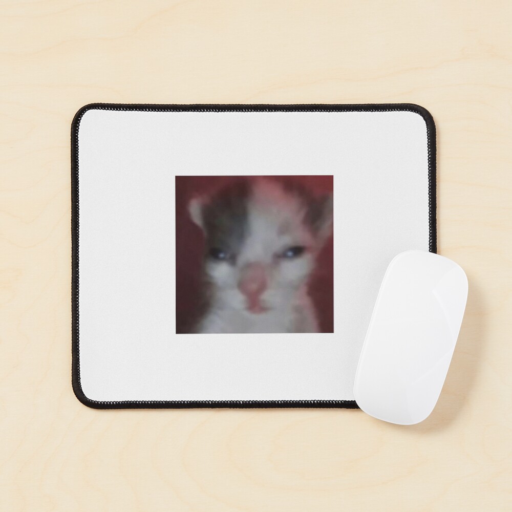 "confused cat meme" Sticker for Sale by alinaetts | Redbubble