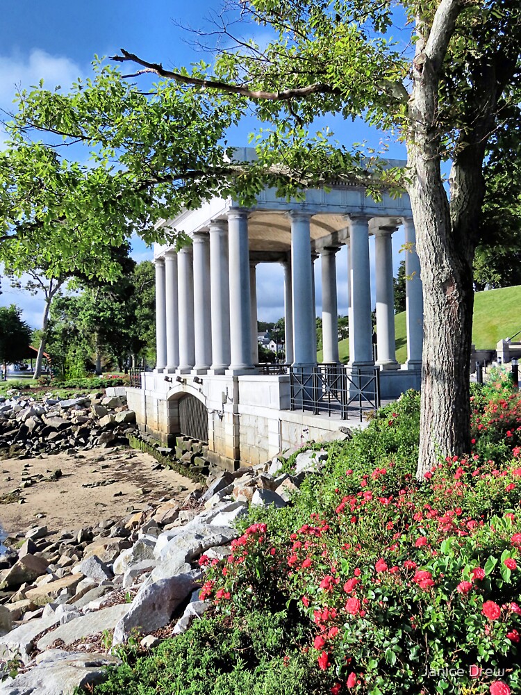 "Roses at the Plymouth Rock canopy" Sticker for Sale by JanSDrew ...