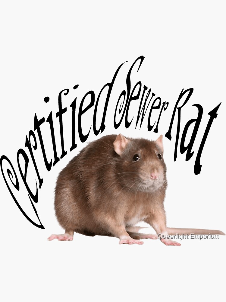 "Certified Sewer Rat Sewerposting Sticker" Sticker for Sale by Jade ...