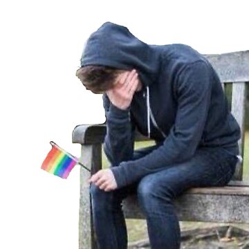 "Gay Pride Flag Crying Meme" Sticker for Sale by stickers27 | Redbubble