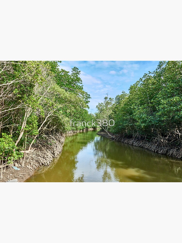 "Discover the majestic mangrove forest of Pran Buri Park in Thailand ...