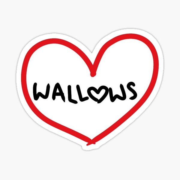 Wallows Merch & Gifts for Sale | Redbubble