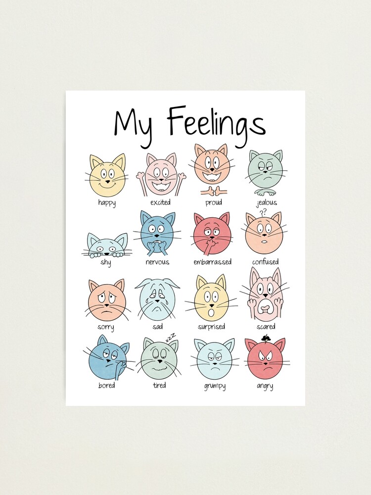 "Cat Feelings, expressions, emotions" Photographic Print for Sale by ...