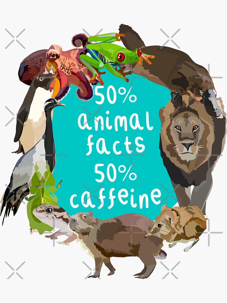 "50% Animal Facts 50% Caffeine " Sticker for Sale by thezoogirl | Redbubble