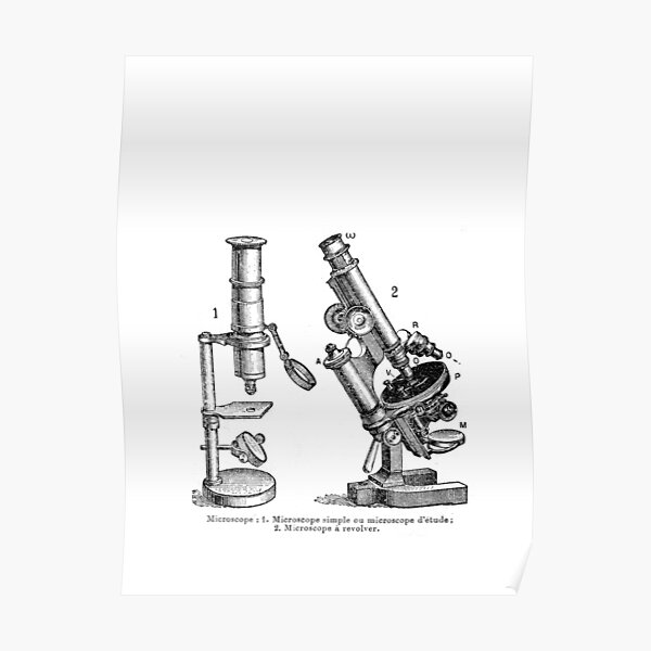 "Microscopes" Poster by BeccaPaintmore | Redbubble