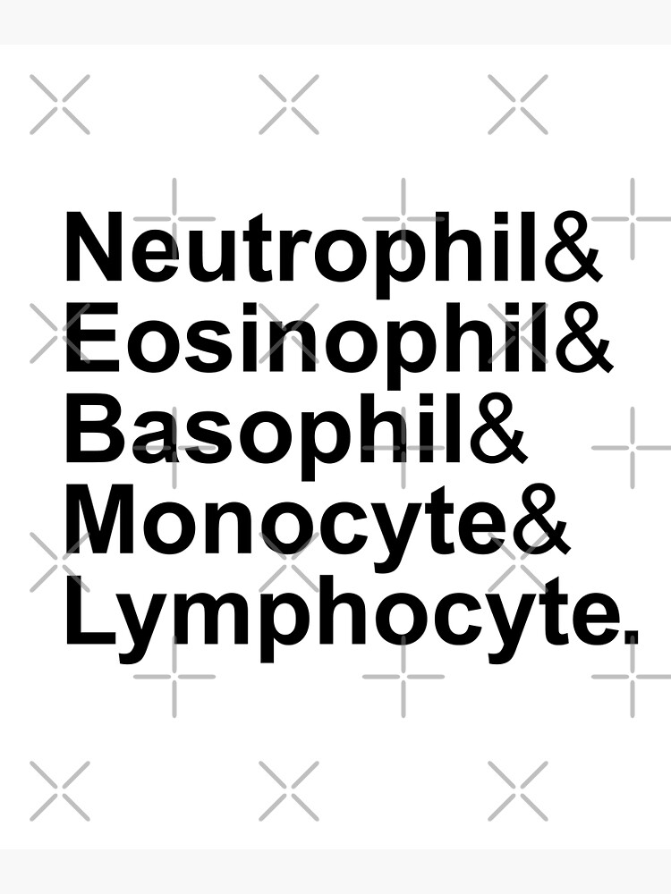 5 Different Types Of White Blood Cells