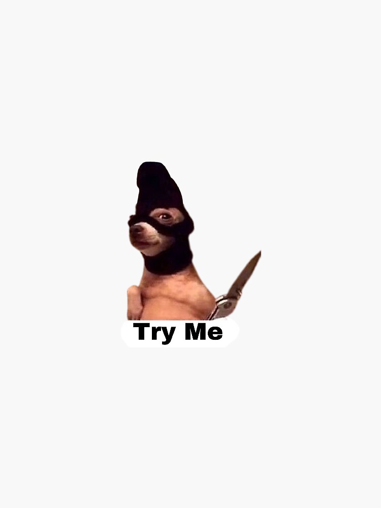 "Try Me Funny Sticker dog" Sticker for Sale by Gooon26 | Redbubble