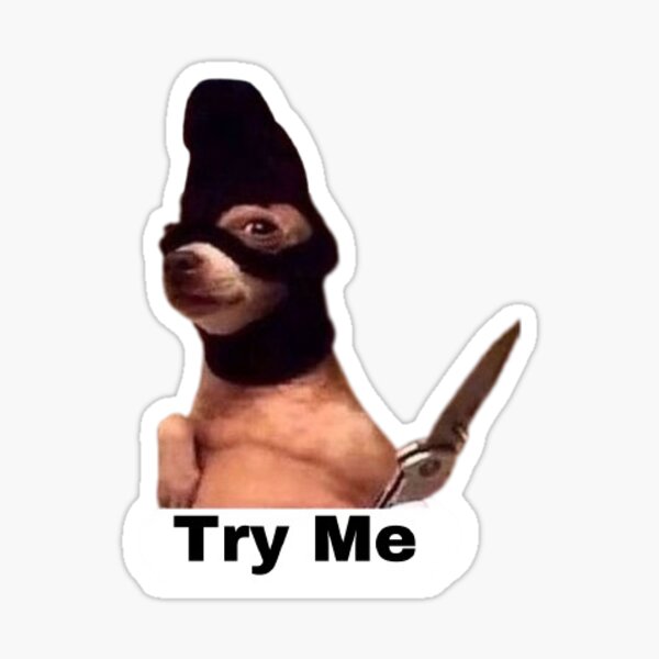 "Try Me Funny Sticker dog" Sticker for Sale by Gooon26 | Redbubble