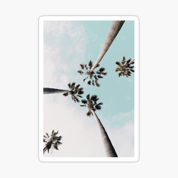 "Palm trees Palms print" Sticker for Sale by nth4ka | Redbubble