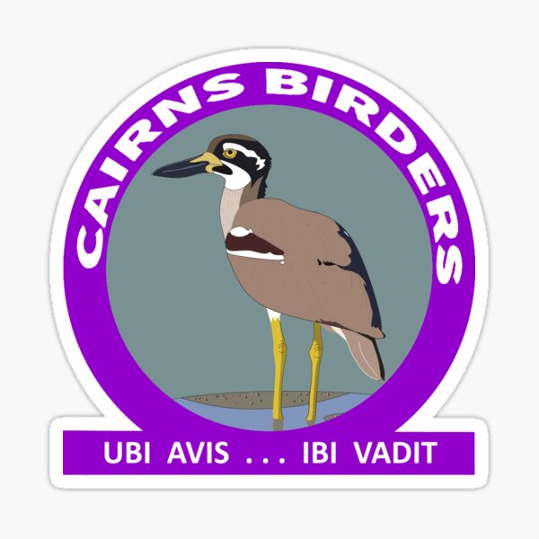 "Beach Stone-curlew with Cairns Birders Logo" Sticker for Sale by ...