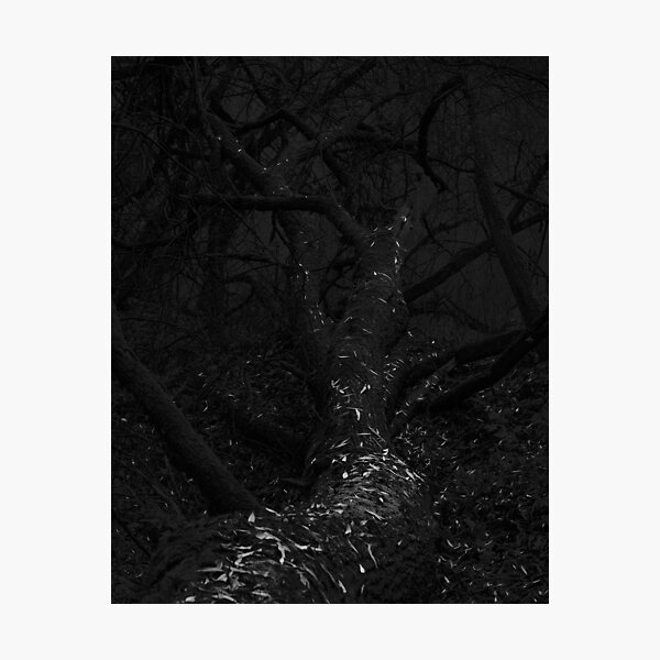 Dsbm Merch & Gifts for Sale | Redbubble