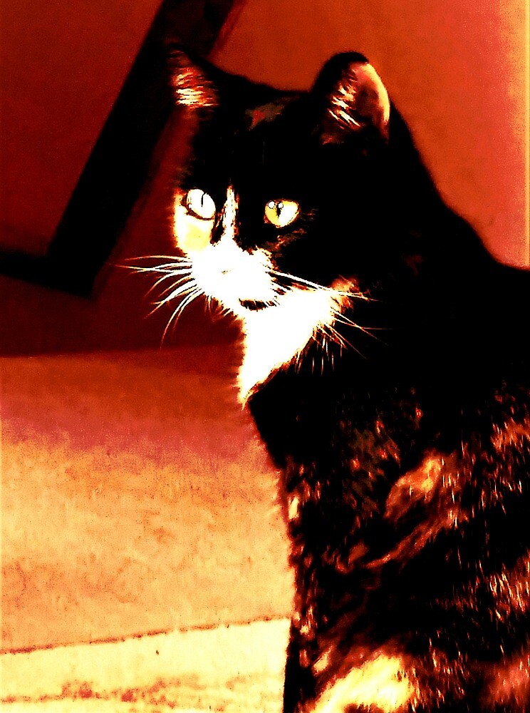 ""IZZY" CAT DESIGN ORANGE" by LizSelleyArt | Redbubble