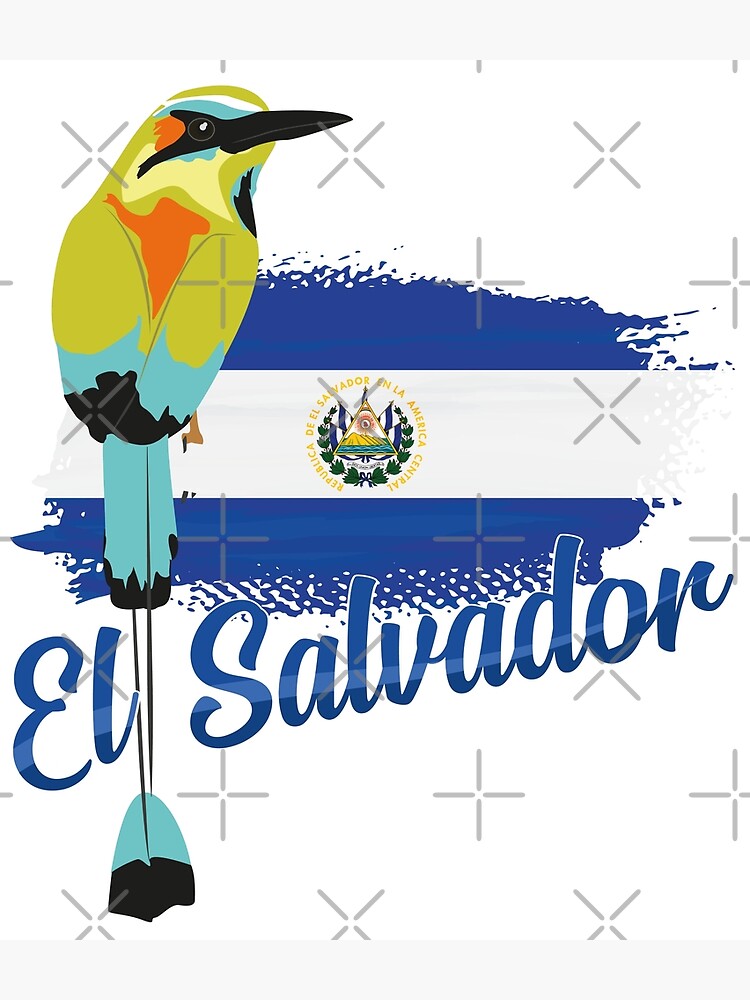 Póster con la obra «Torogoz El Salvador» de ulisesv19 | Redbubble