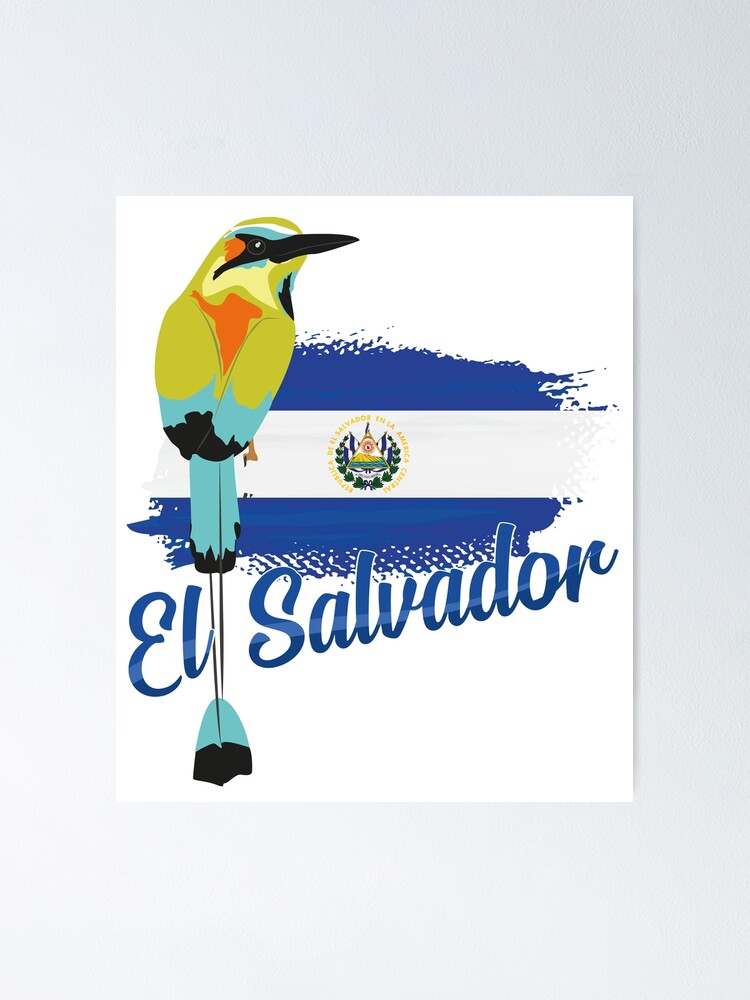 Póster con la obra «Torogoz El Salvador» de ulisesv19 | Redbubble