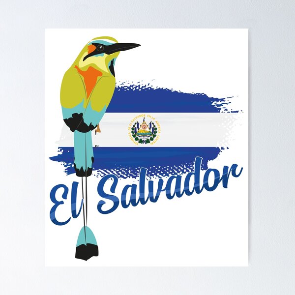 Póster con la obra «Torogoz El Salvador» de ulisesv19 | Redbubble