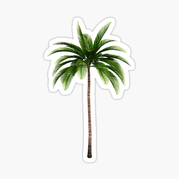 "Basic palm tree" Sticker for Sale by mythic-design | Redbubble