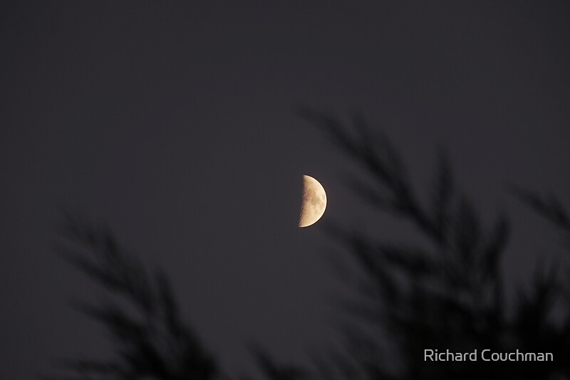"" Hint Of Luminance "" by Richard Couchman | Redbubble