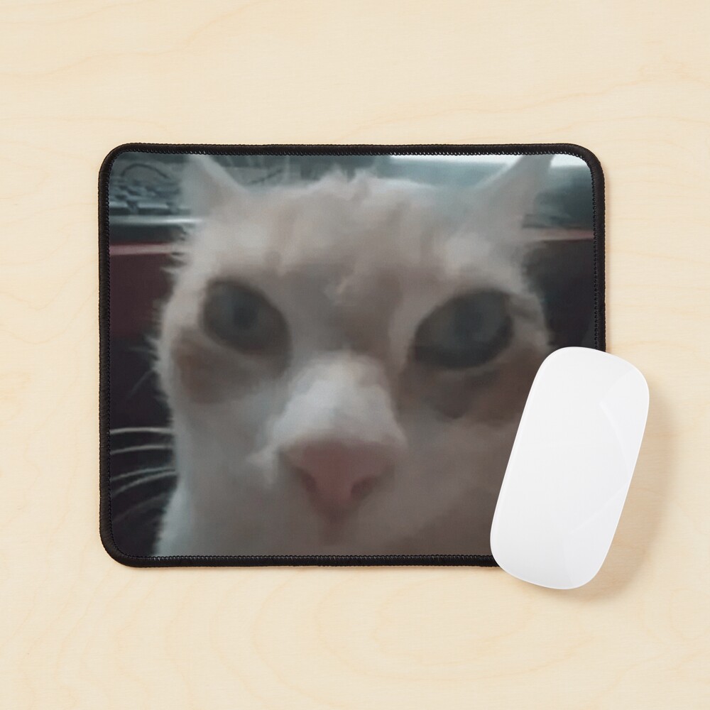 "Judging cat meme" Sticker for Sale by Jeampierre007 | Redbubble