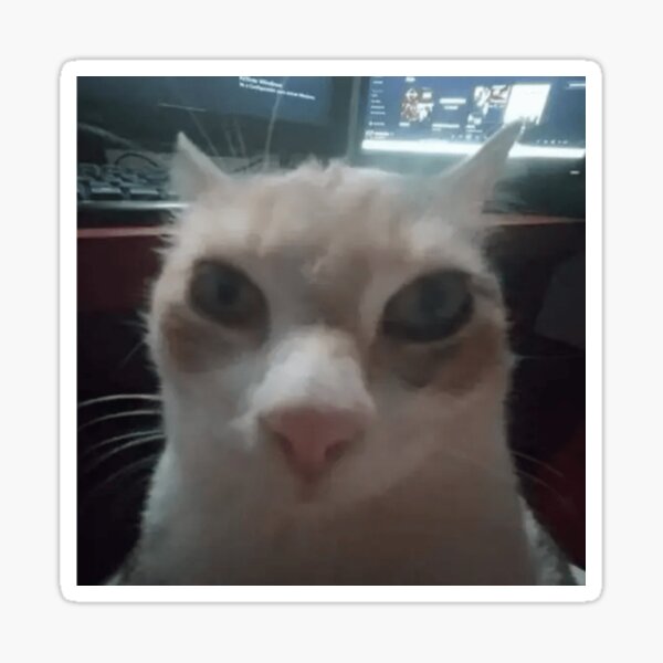 "Judging cat meme" Sticker for Sale by Jeampierre007 | Redbubble