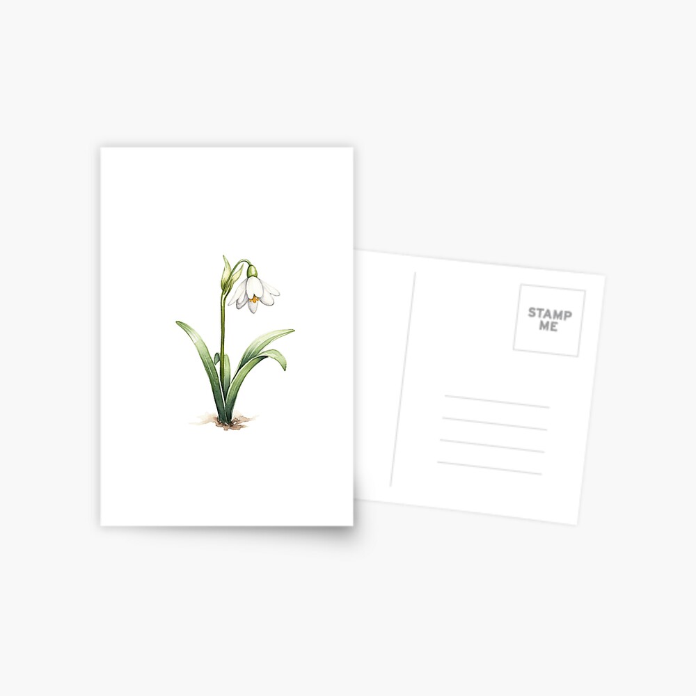 "Watercolor Snowdrop Flower" Sticker for Sale by supersassafras | Redbubble