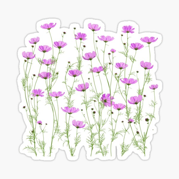 "colorful wild flower field" Sticker for Sale by ShelieStore | Redbubble