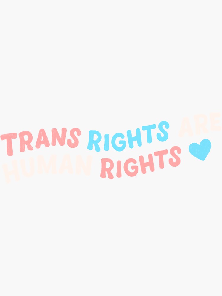 "trans rights are human rights trans pink blue flag cute heart" Sticker ...