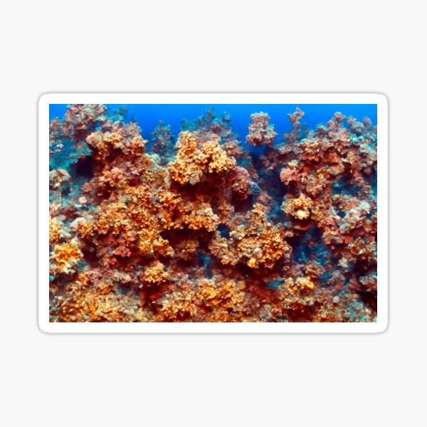 "Tropical Ocean Coral Reef" Sticker for Sale by JimPlaxco | Redbubble