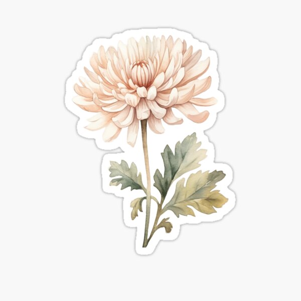 "Watercolor Chrysanthemum Flower" Sticker for Sale by supersassafras ...