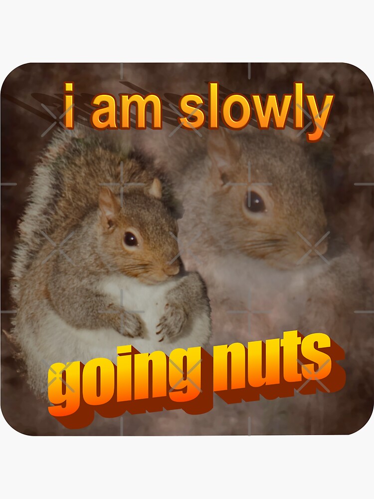 "I am slowly going nuts squirrel word art" Sticker for Sale by snazzyseagull | Redbubble