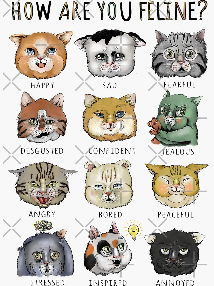 "How Are You Feline? Cat Themed Feelings Chart" Sticker for Sale by ...