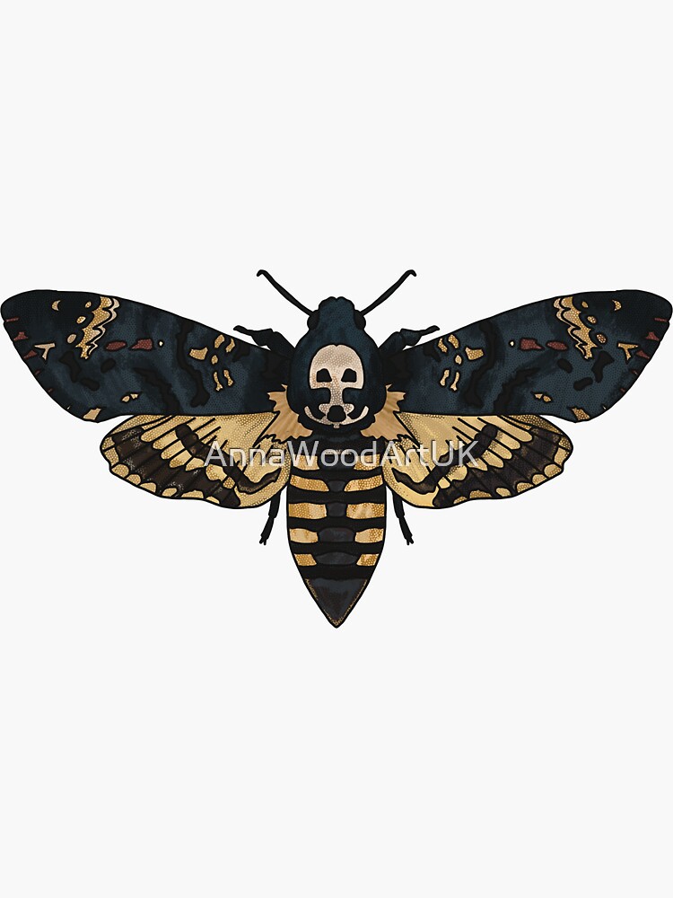 "Death's-head Hawkmoth" Sticker for Sale by AnnaWoodArtUK | Redbubble