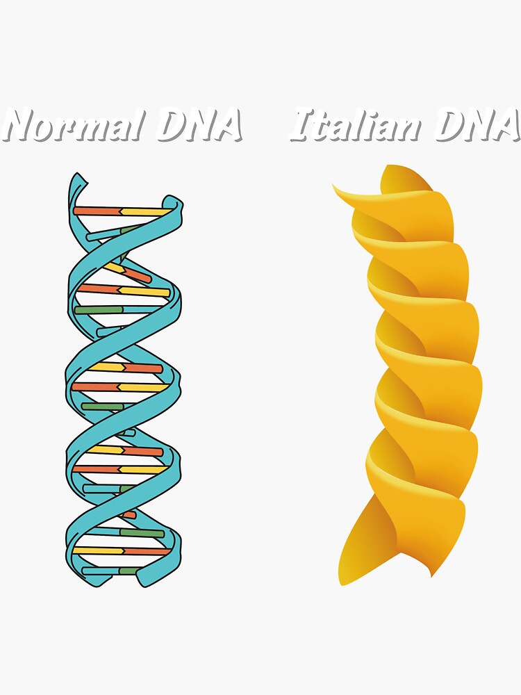 "Italian DNA vs Normal DNA" Sticker for Sale by kakatina | Redbubble