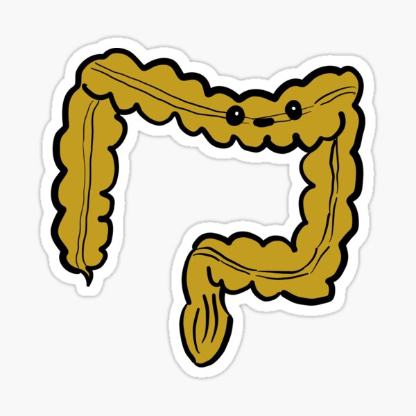 "Kawaii intestine " Sticker for Sale by thehat24 | Redbubble