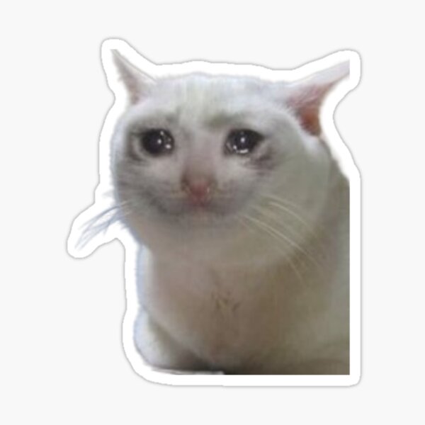 "CAT CRYING MEME " Sticker for Sale by TruchaDesigns | Redbubble