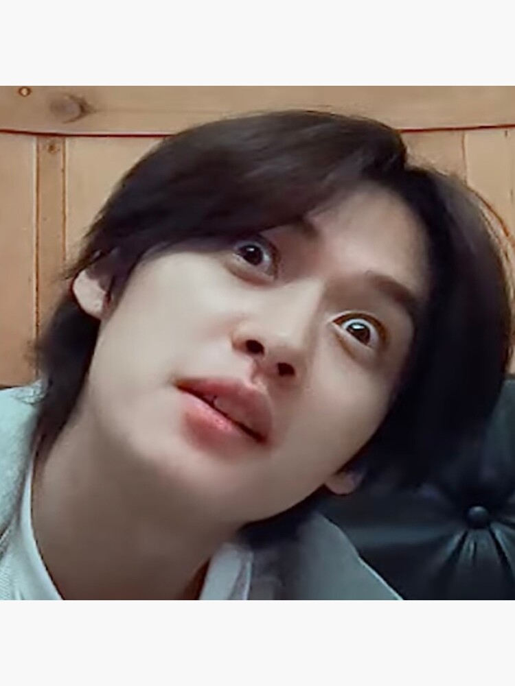 "Stray Kids Lee Know Meme" Art Board Print for Sale by lorienskz ...