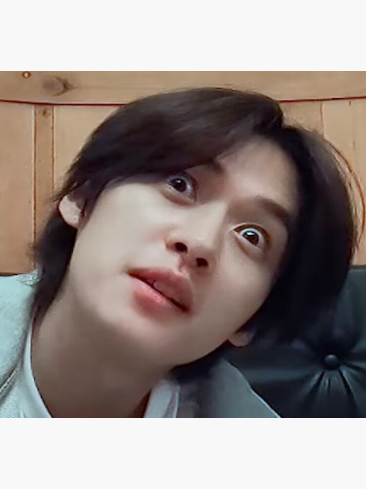 "Stray Kids Lee Know Meme" Sticker for Sale by lorienskz | Redbubble