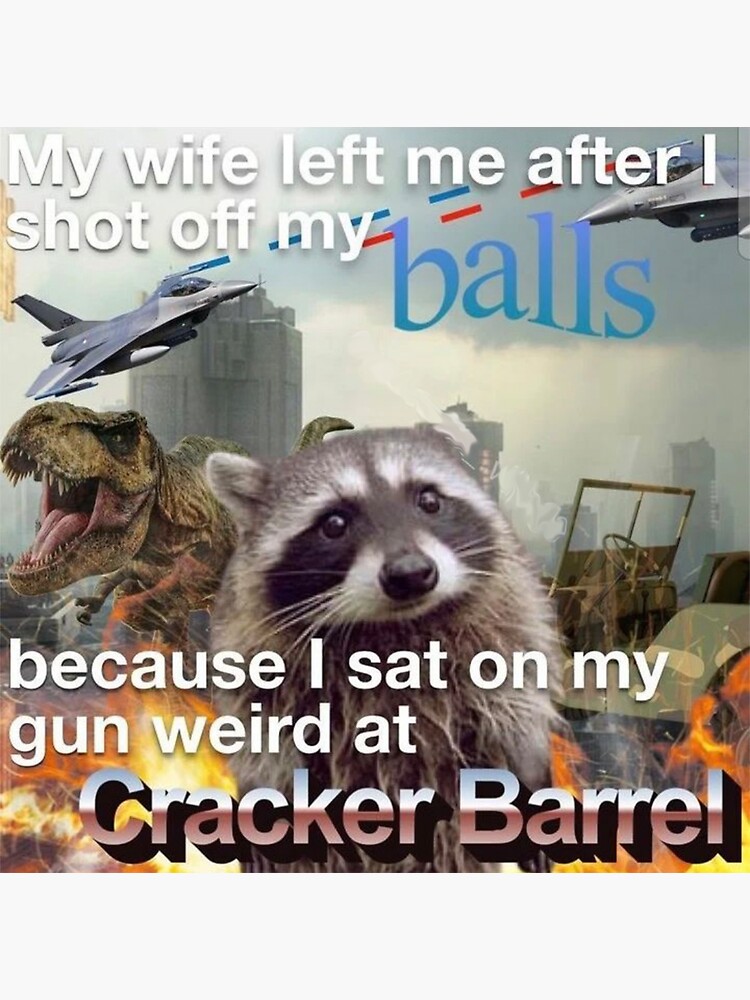 "Racoon Meme: My Wife Left me after I shot off my balls because I sat ...