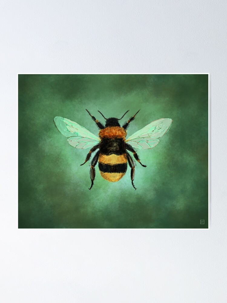 "BumbleBee" Poster for Sale by hazytale | Redbubble