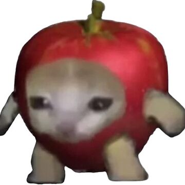"apple cat meme" Sticker for Sale by snaekfoot | Redbubble