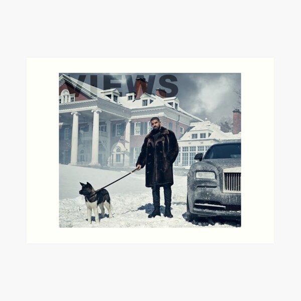 "Drake with Dog Views Tapestry" Art Print by livpaigedesigns | Redbubble