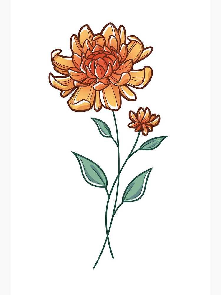November Birth Flower Images