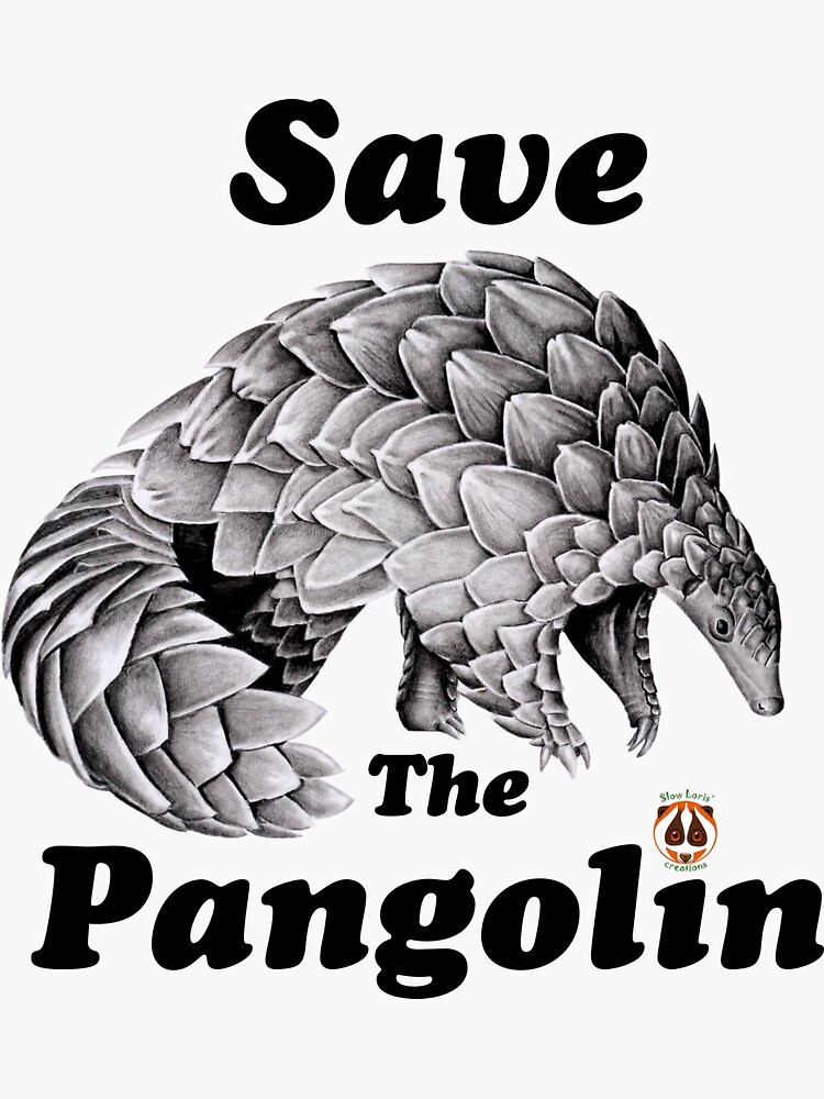 "Save the Pangolin" Sticker for Sale by SlowLorisDv | Redbubble