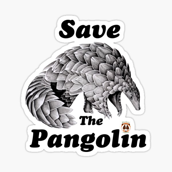 "Save the Pangolin" Sticker for Sale by SlowLorisDv | Redbubble