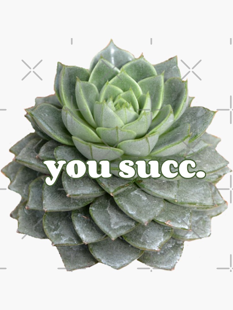 "you succ" Sticker by kamrynharris18 | Redbubble