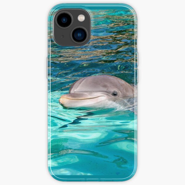 "Dolphin" iPhone Case for Sale by quackersnaps | Redbubble