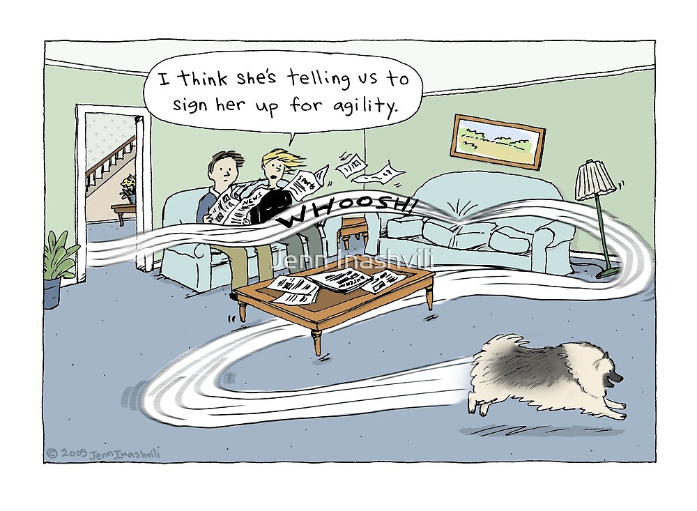 "Keeshond Agility Dog Cartoon" by Jenn Inashvili | Redbubble